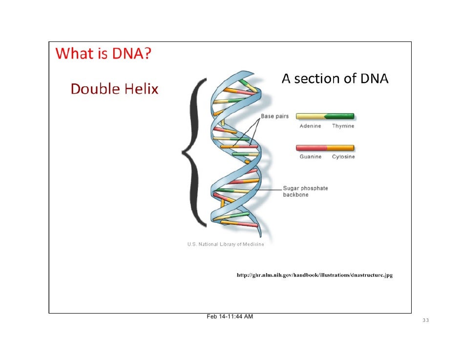 The Double Helix - Spaced Learning