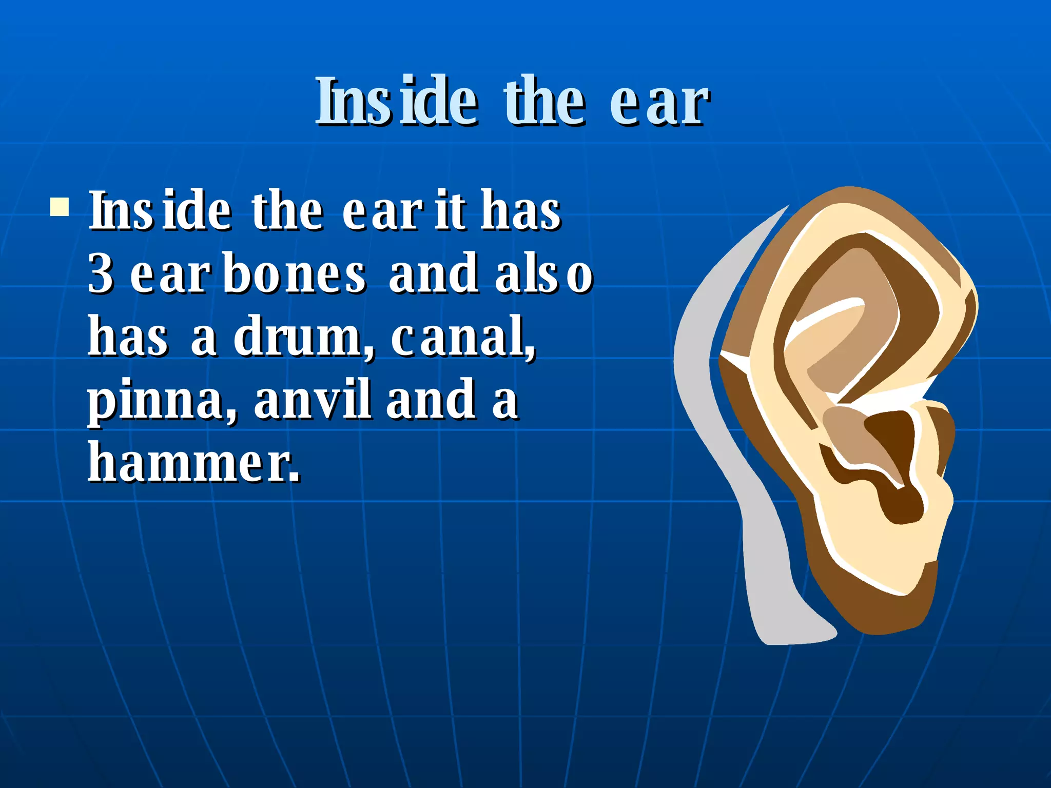 the ear | PPT