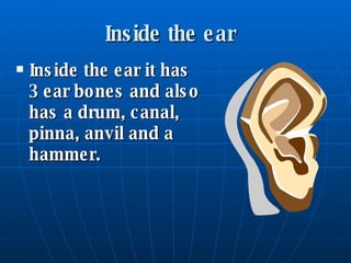 the ear | PPT