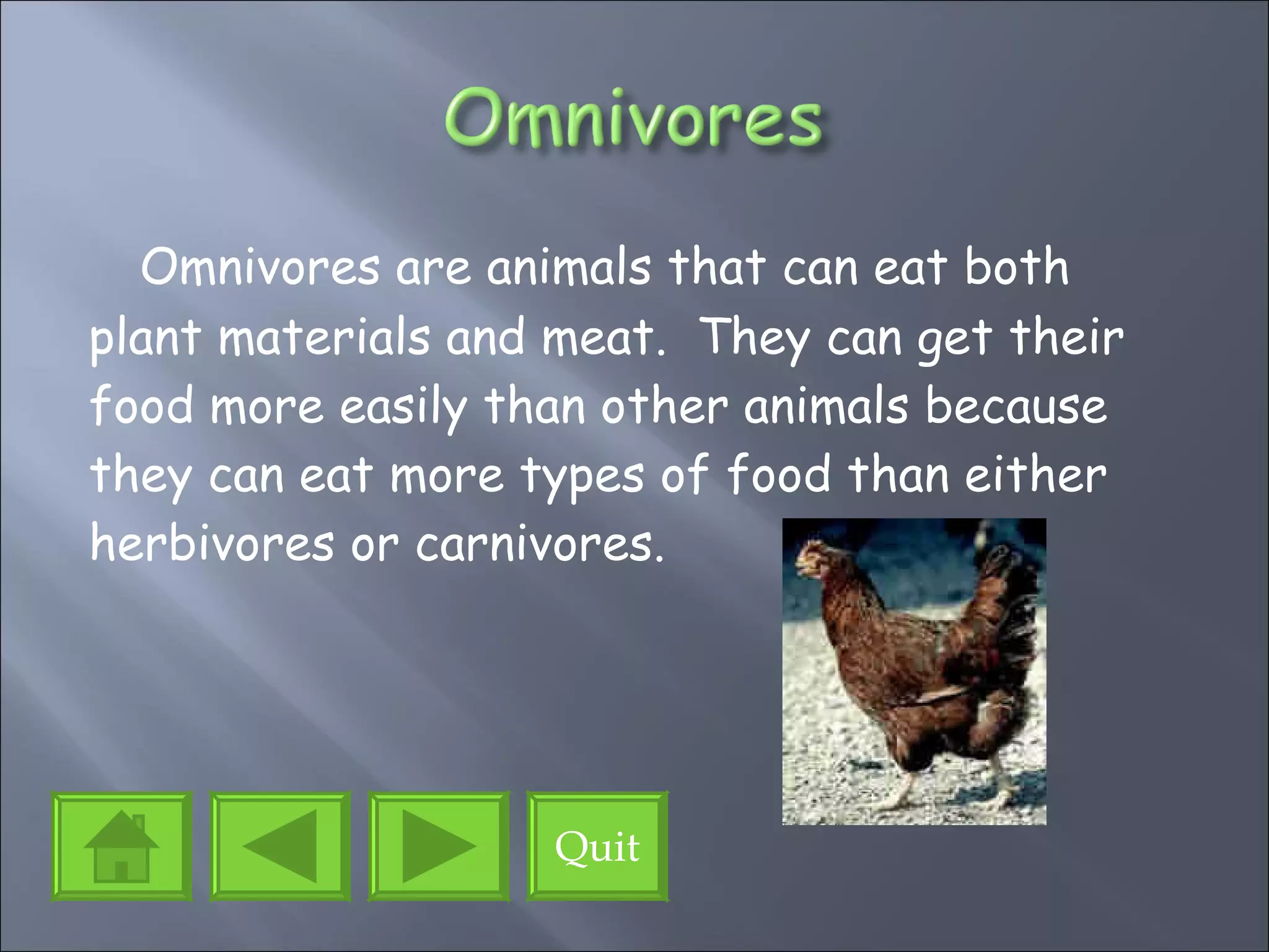 The Eating Habits Of Animals Ppt Project | PPT