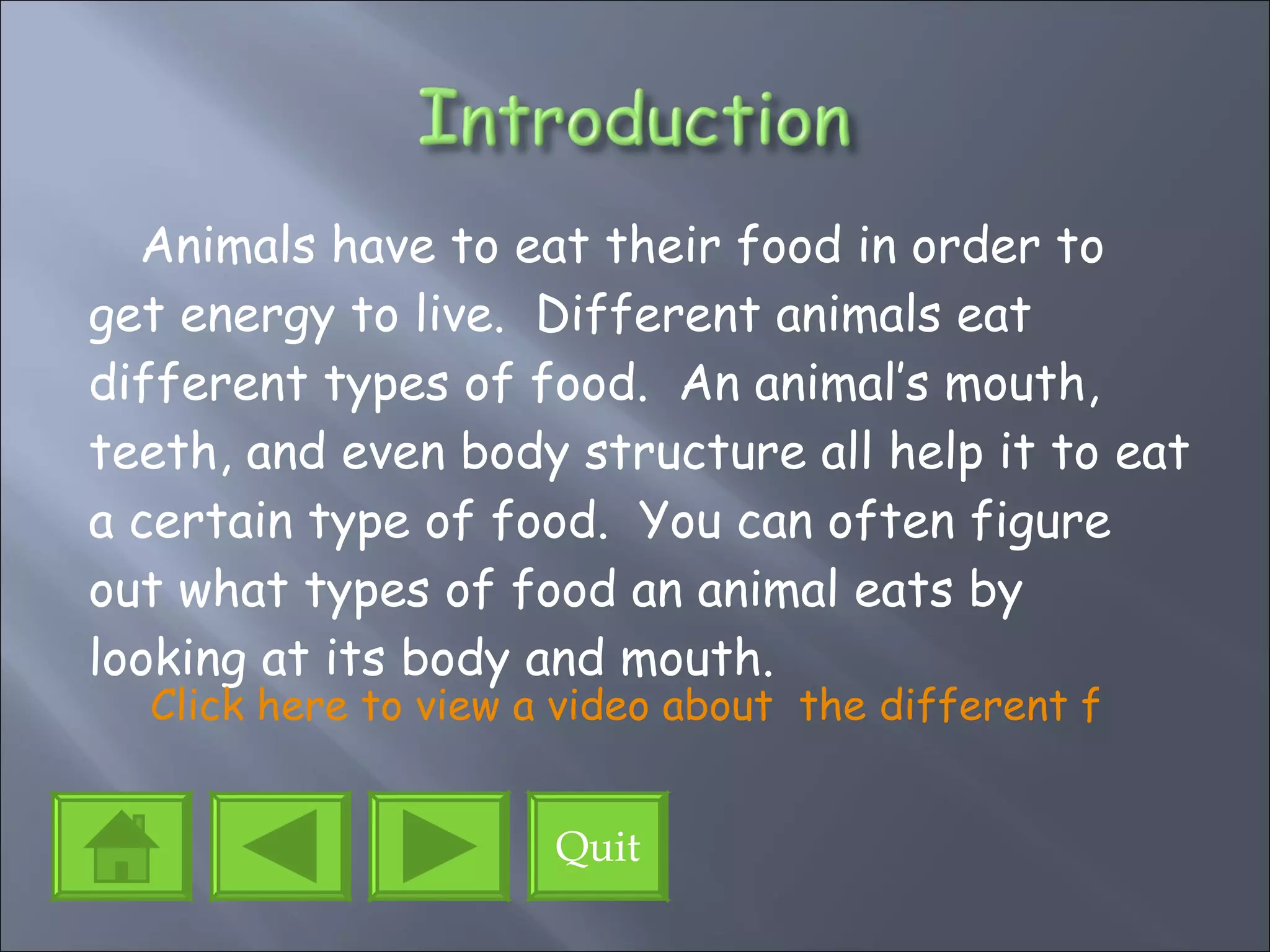 The Eating Habits Of Animals Ppt Project | PPT
