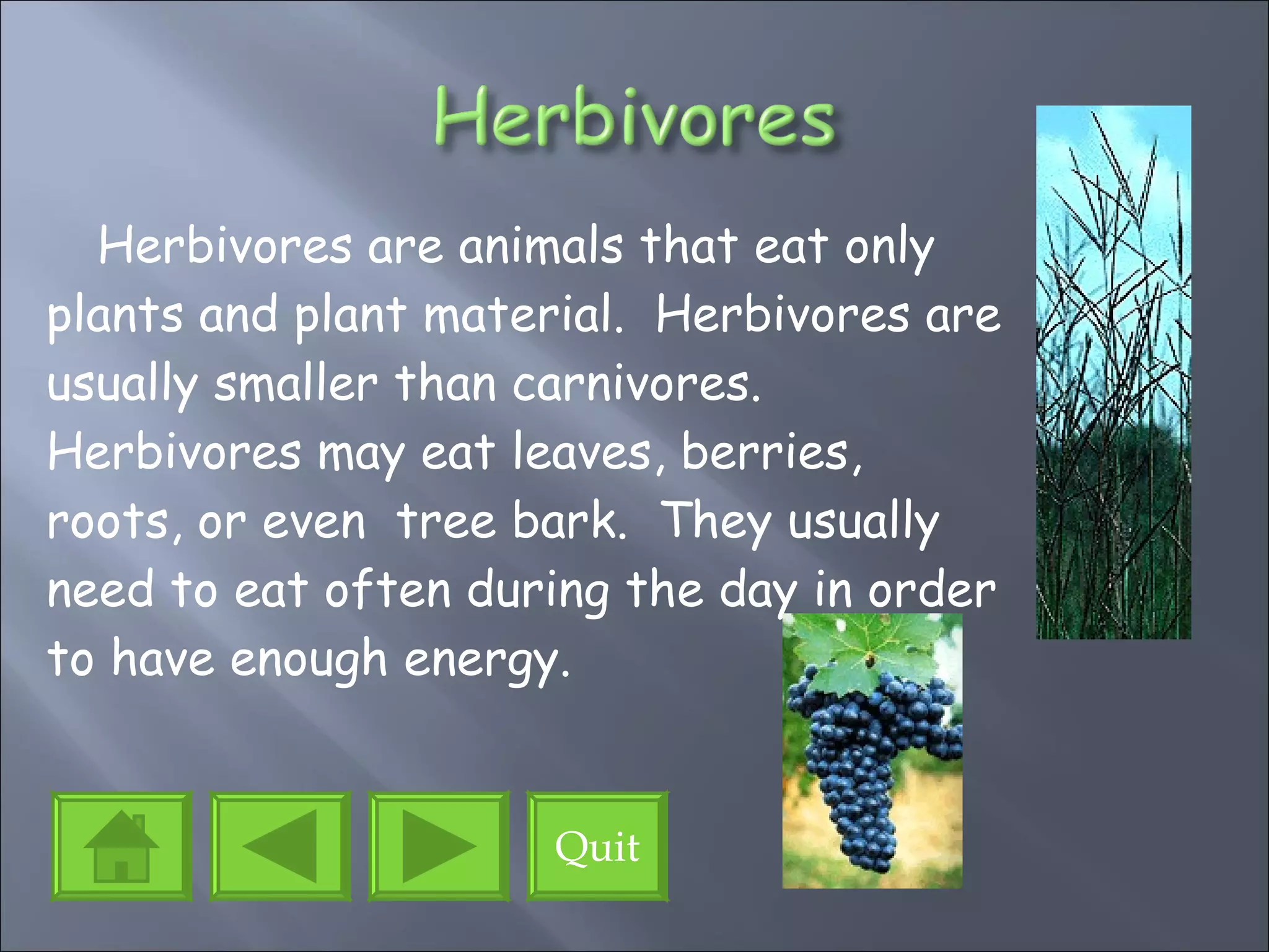 The Eating Habits Of Animals Ppt Project | PPT