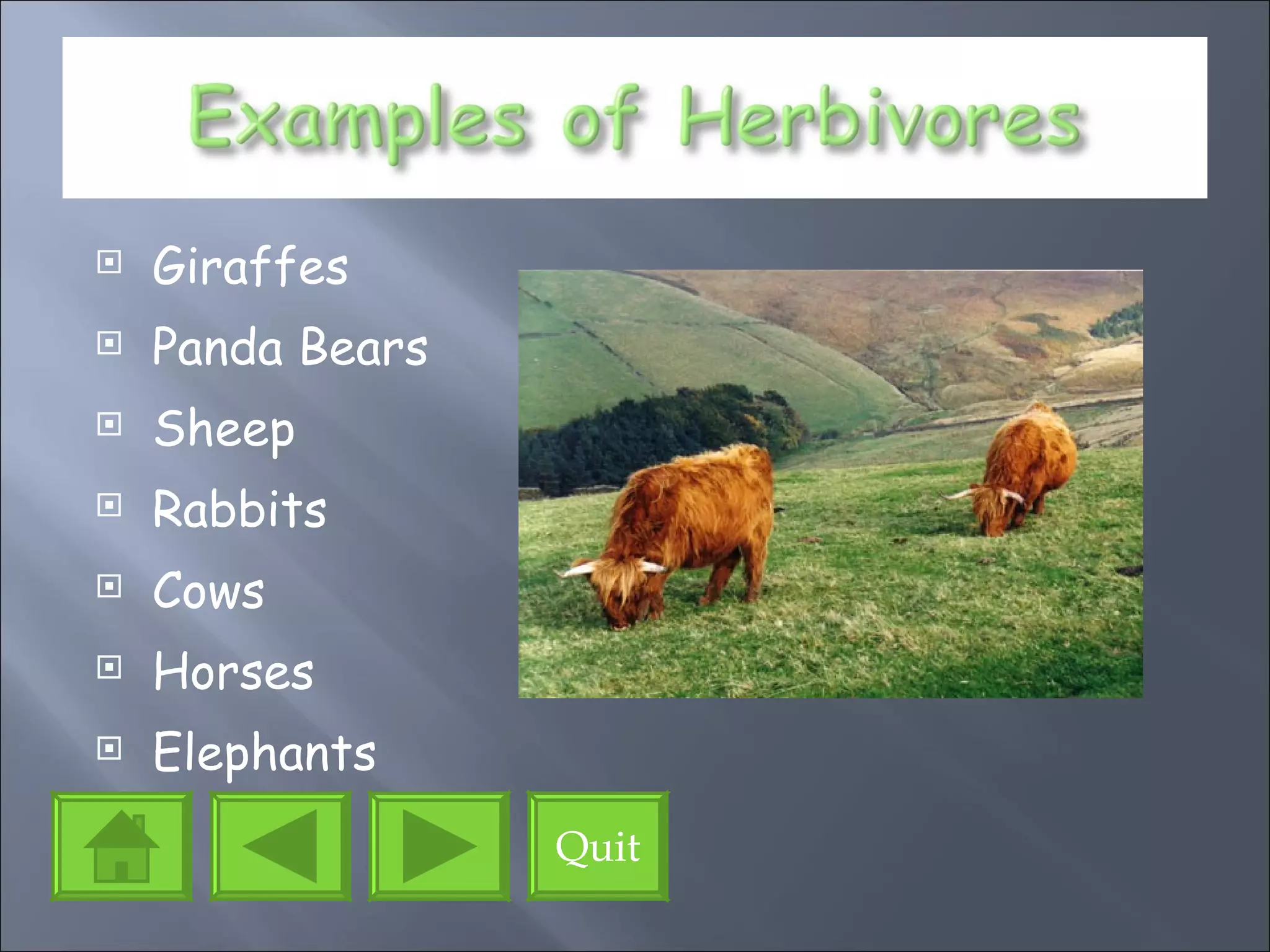 The Eating Habits Of Animals Ppt Project | PPT