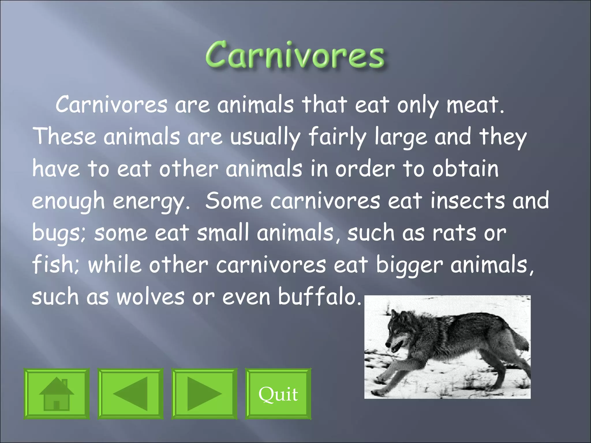 The Eating Habits Of Animals Ppt Project | PPT