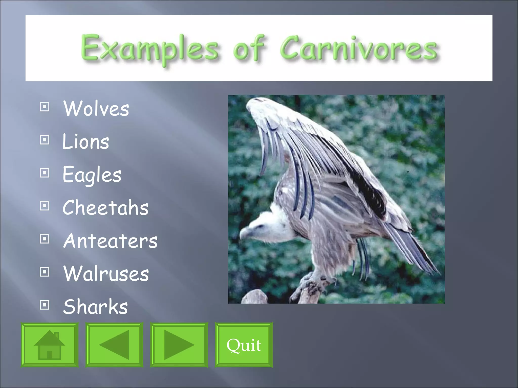 The Eating Habits Of Animals Ppt Project | PPT