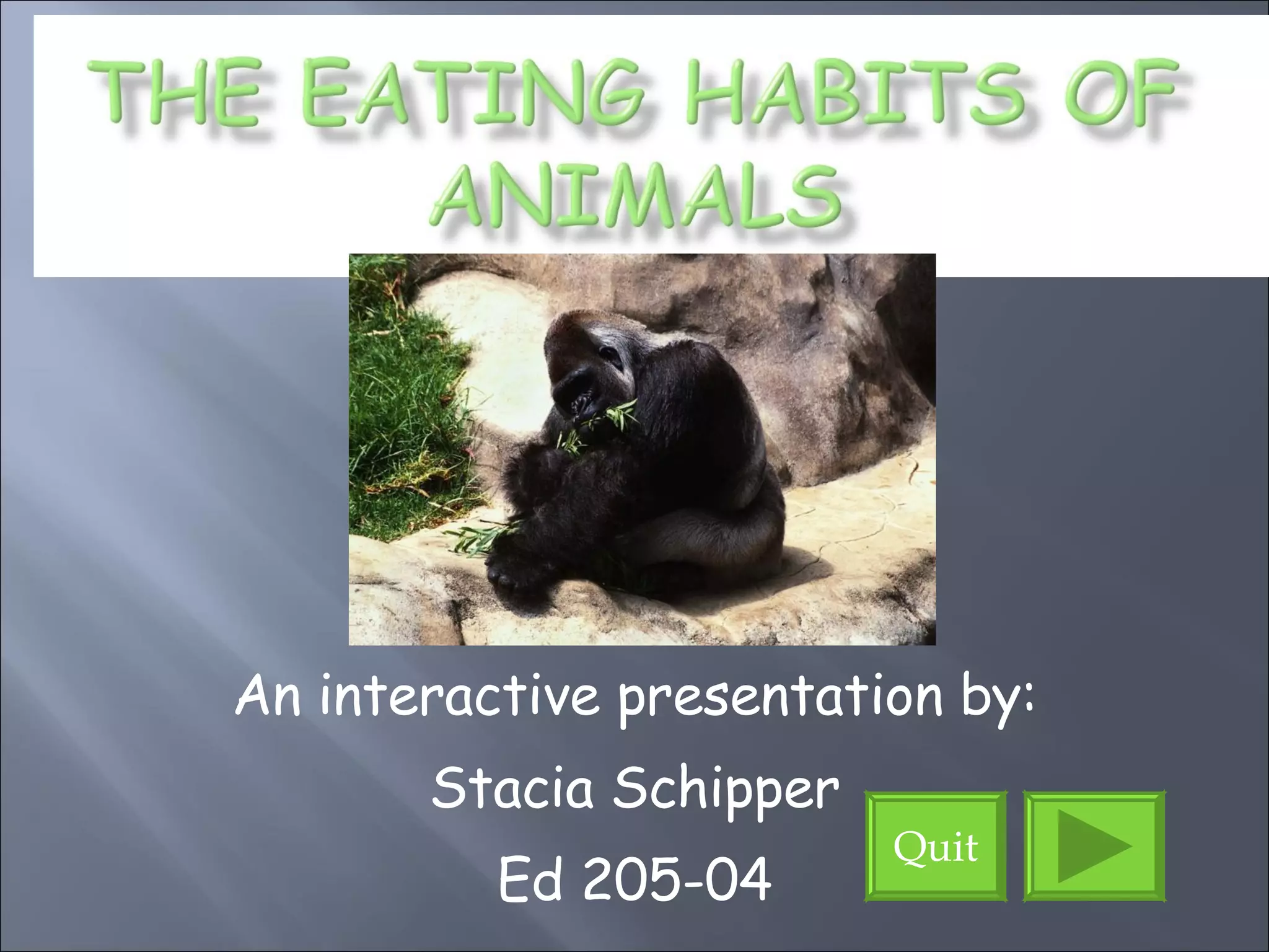 The Eating Habits Of Animals Ppt Project | PPT
