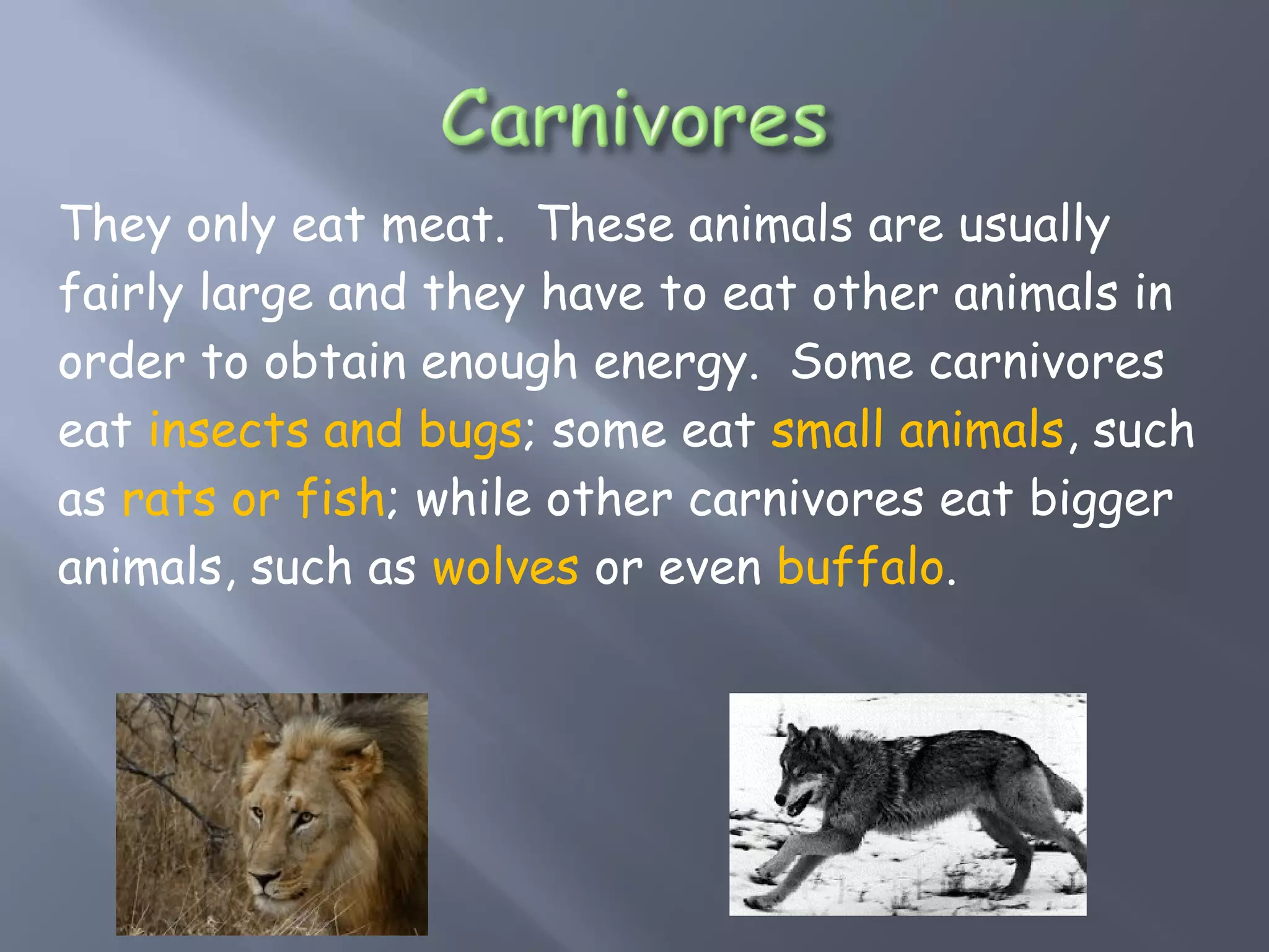 The eating-habits-of-animals-ppt-teeth | PPT