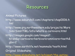 The eating-habits-of-animals-ppt-teeth | PPT