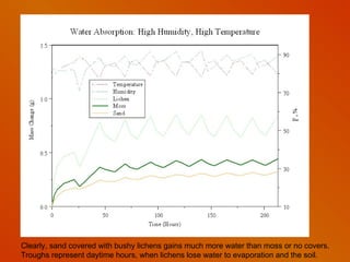 The Ecological Role Of Biological Soil Crusts In The Rome Sand Plains ...