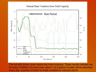 The Ecological Role Of Biological Soil Crusts In The Rome Sand Plains ...