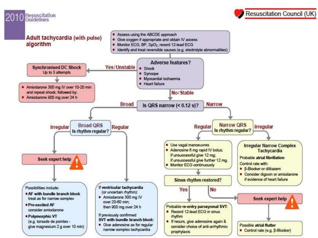 The Electrical Conduction System of the Heart - now with audio!