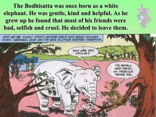 The Elephant And The Greedy Forester | PPS
