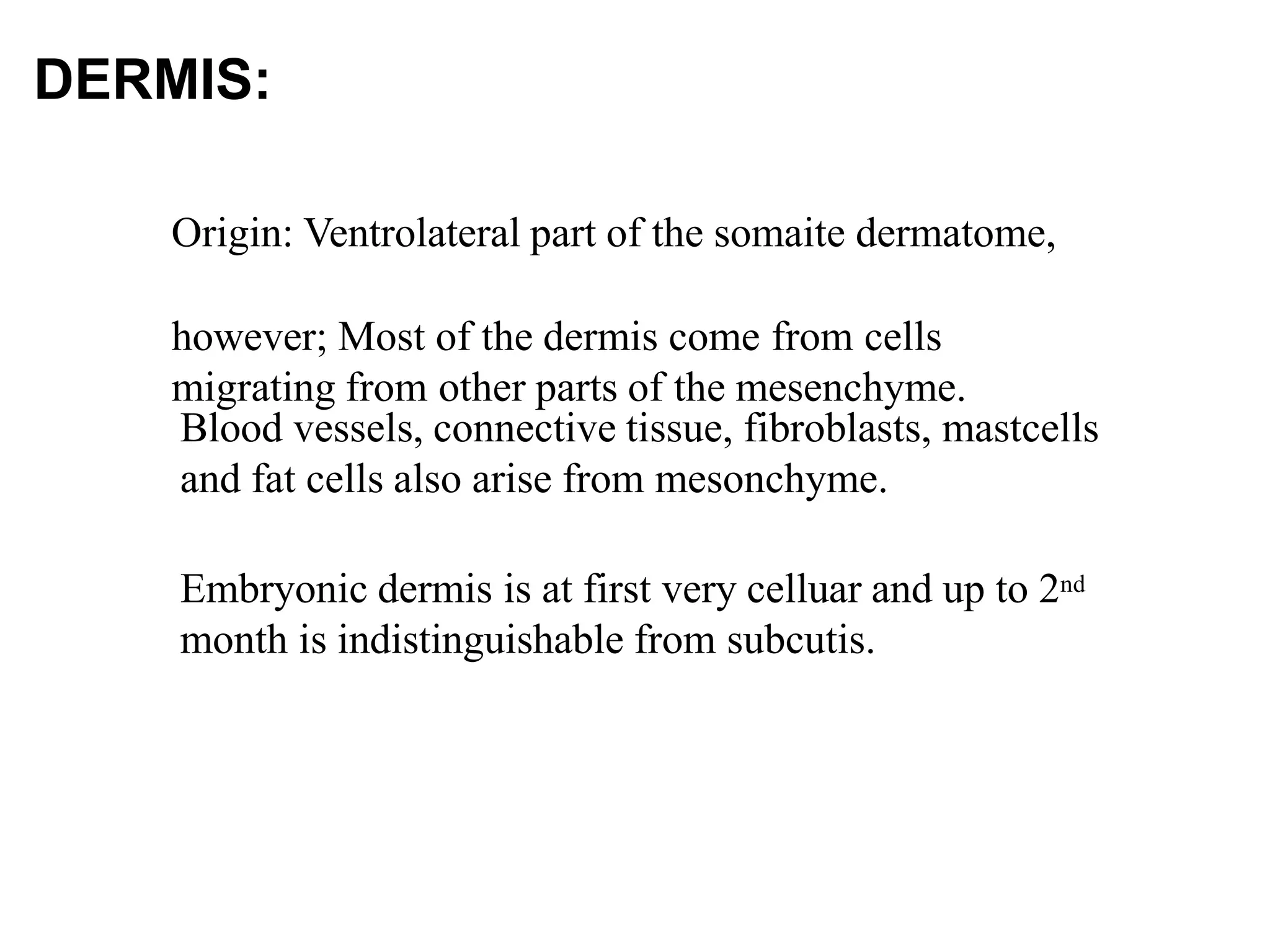 the-embryology-of-the-skin4618-160122105018.pptx