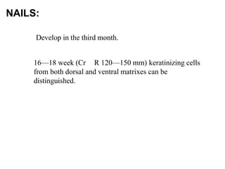 the-embryology-of-the-skin4618-160122105018.pptx