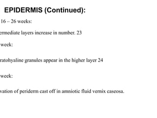 the-embryology-of-the-skin4618-160122105018.pptx