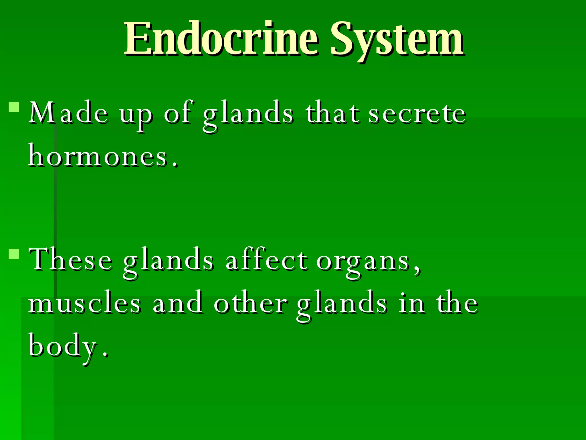 The Endocrine System | PPT