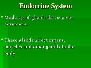 The Endocrine System | PPT