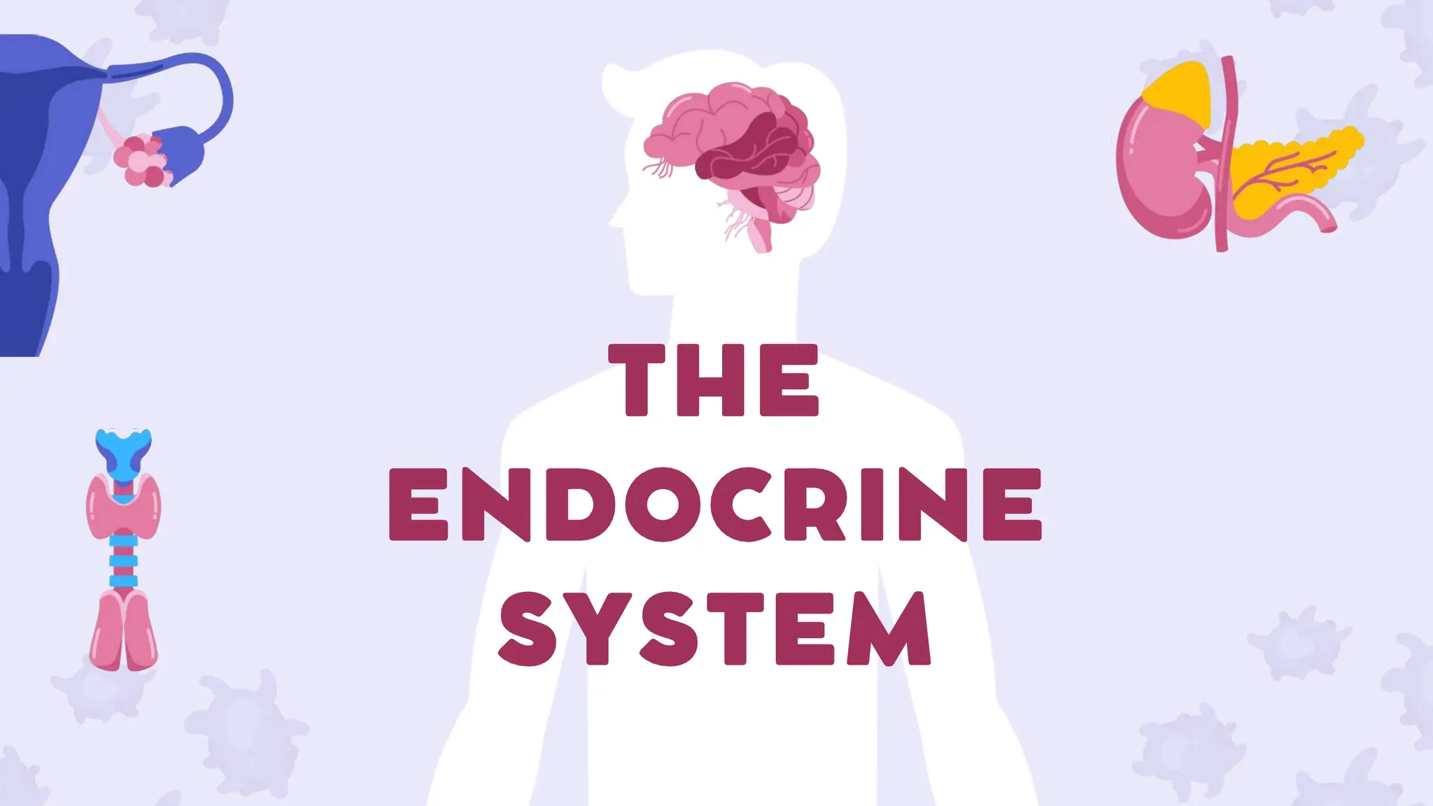 THE-ENDOCRINE-SYSTEM and their functions | PPTX | Thyroid Disorders ...