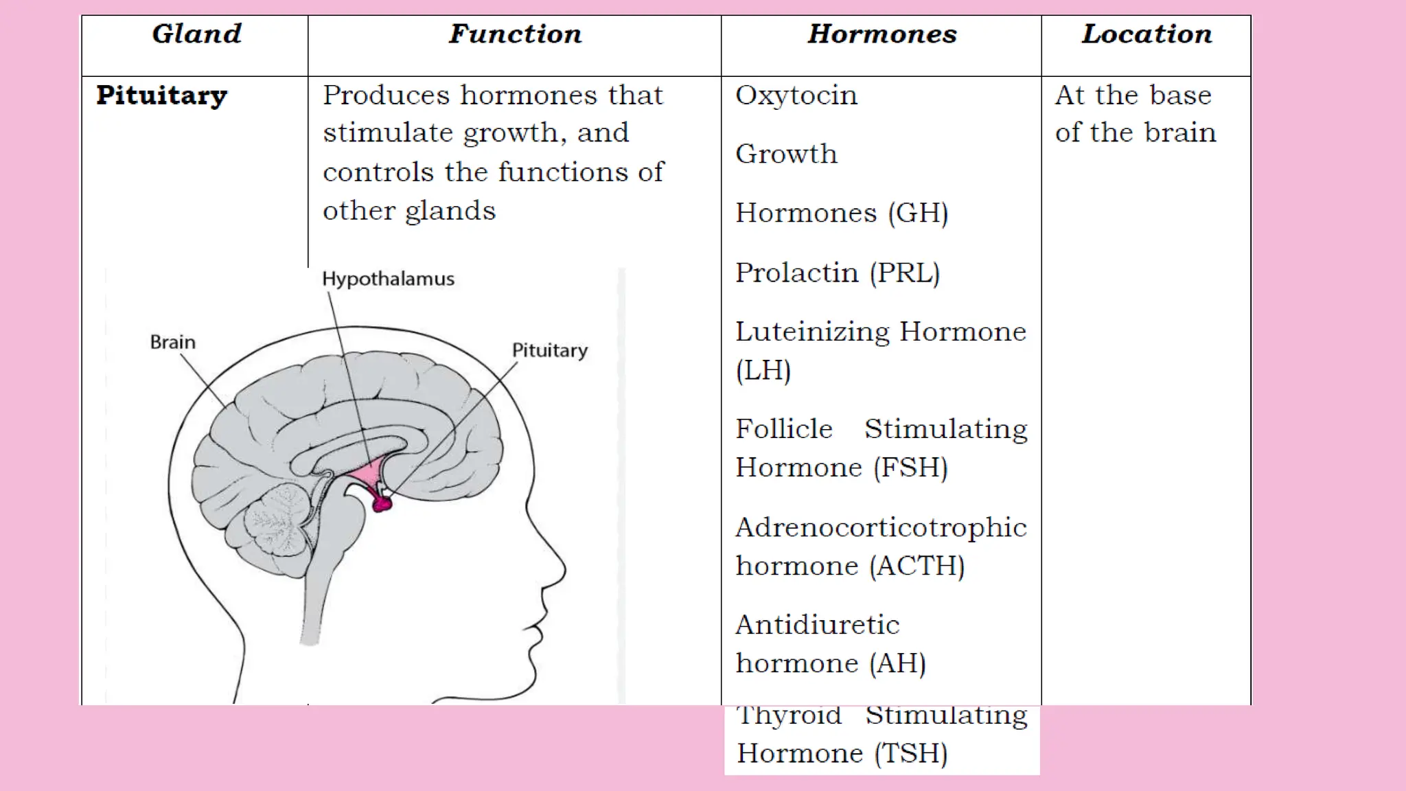 THE-ENDOCRINE-SYSTEM and their functions | PPTX