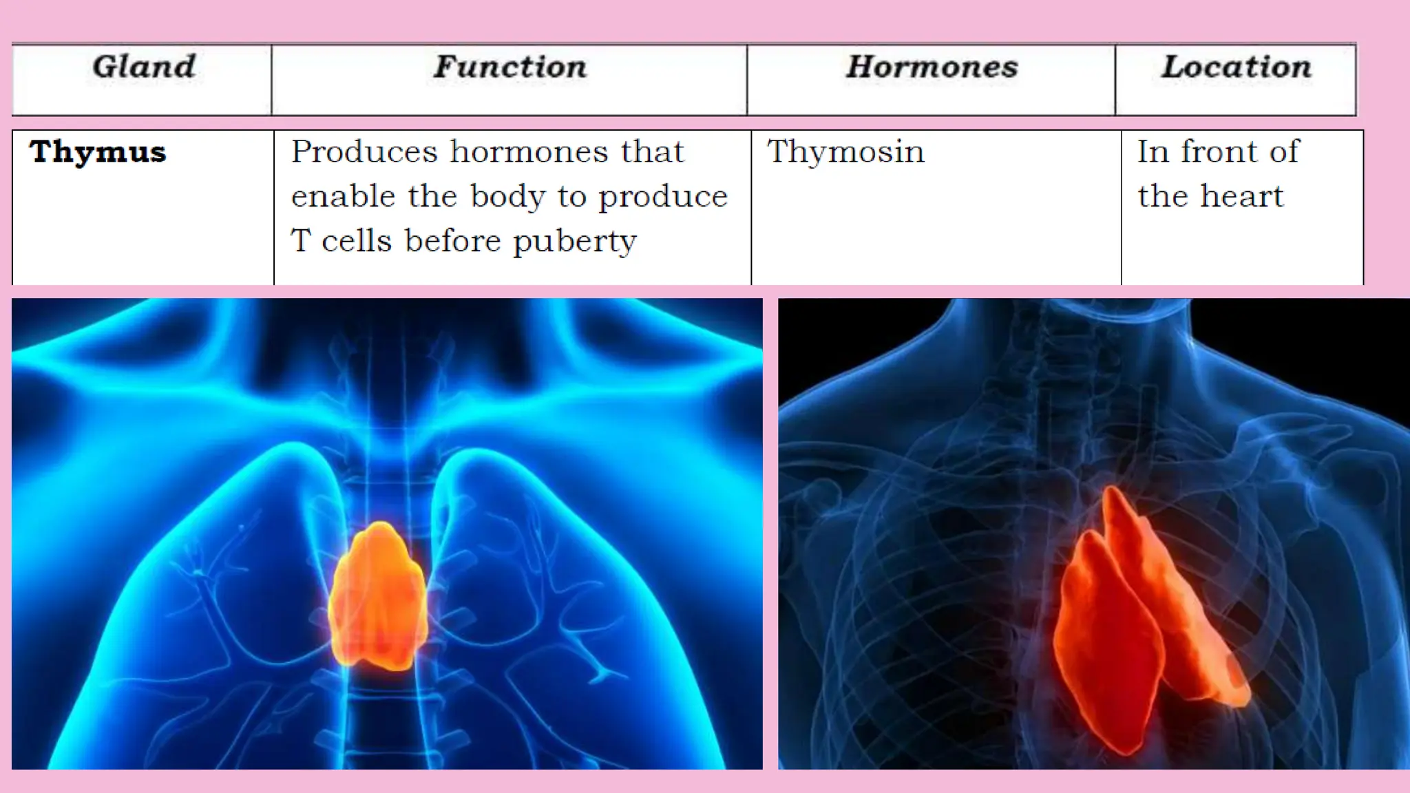 THE-ENDOCRINE-SYSTEM and their functions | PPTX | Thyroid Disorders ...