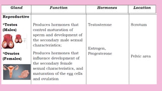 THE-ENDOCRINE-SYSTEM and their functions | PPTX
