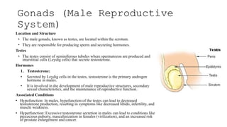 The-Endocrine-System.pptx Anatomy and Physiology | PPT
