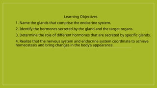 The-Endocrine-system for grade 10 students | PPTX