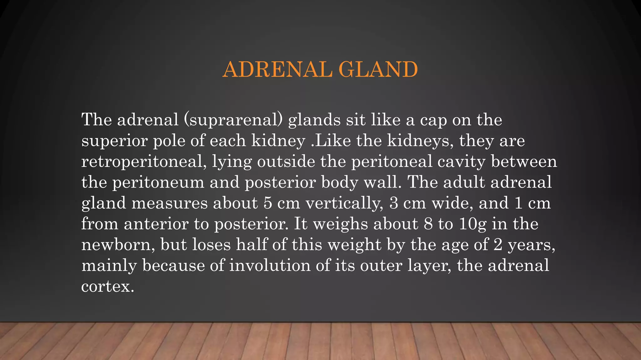 THE-ENDOCRINE-SYSTEM-ppt.pptx