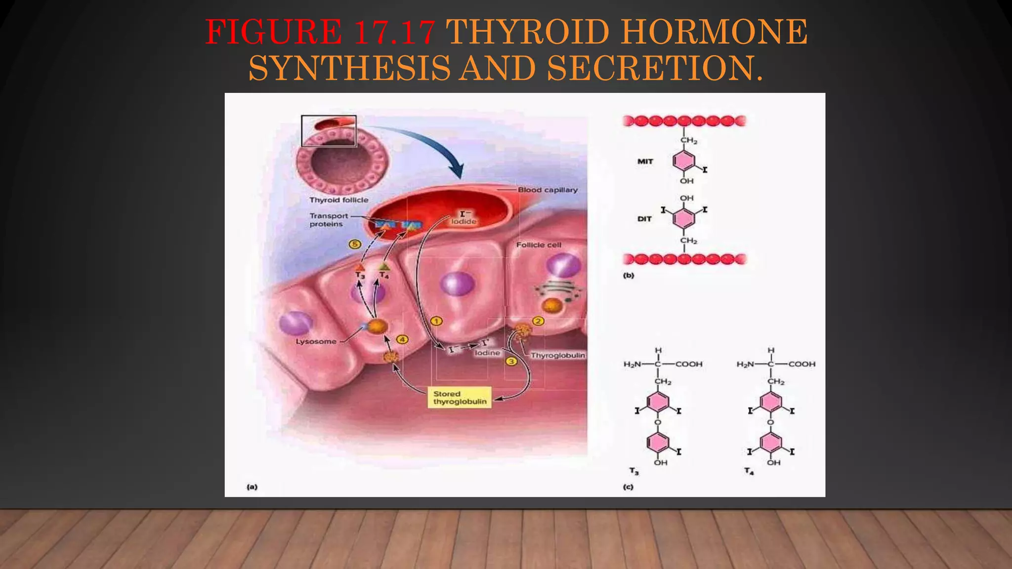 THE-ENDOCRINE-SYSTEM-ppt.pptx