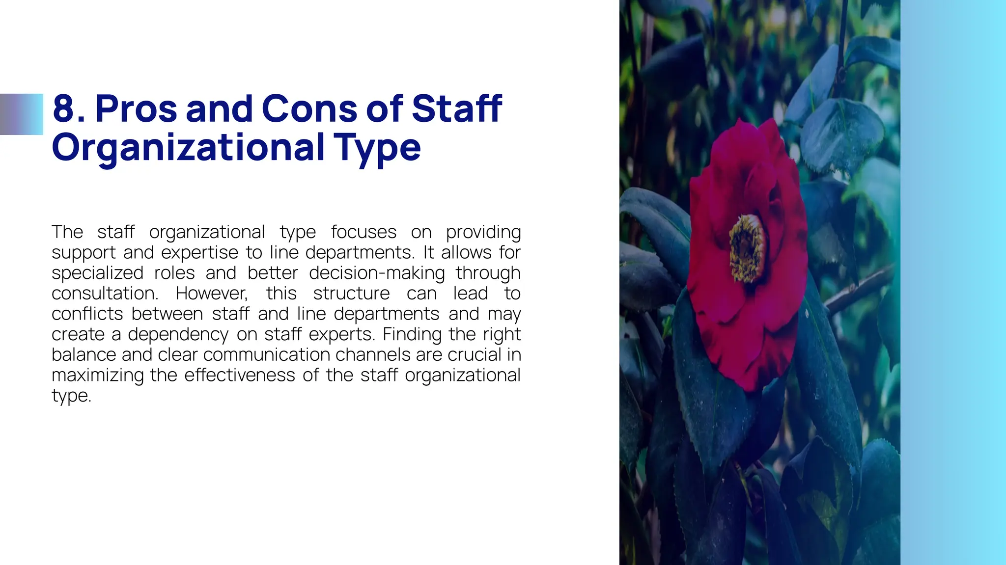 the-essential-guide-to-organizational-types-linear-military-functional ...