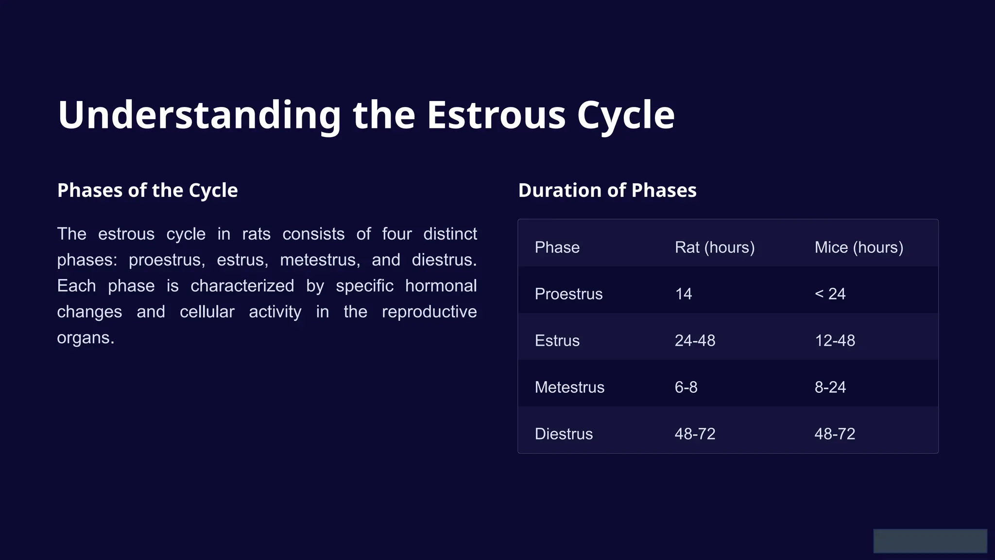 Estrous Cycle in Rats: A Physiological aspect | PPTX