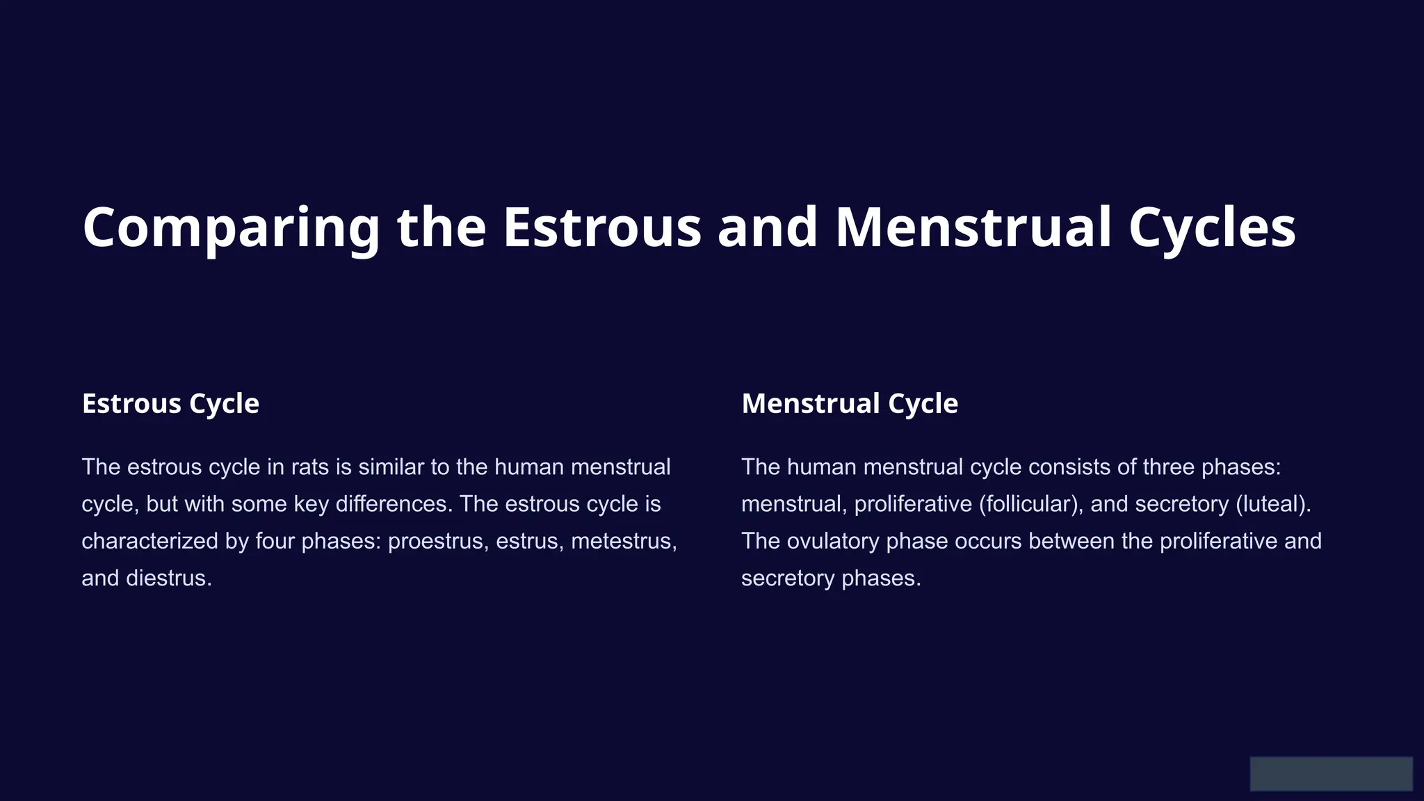 Estrous Cycle in Rats: A Physiological aspect | PPTX