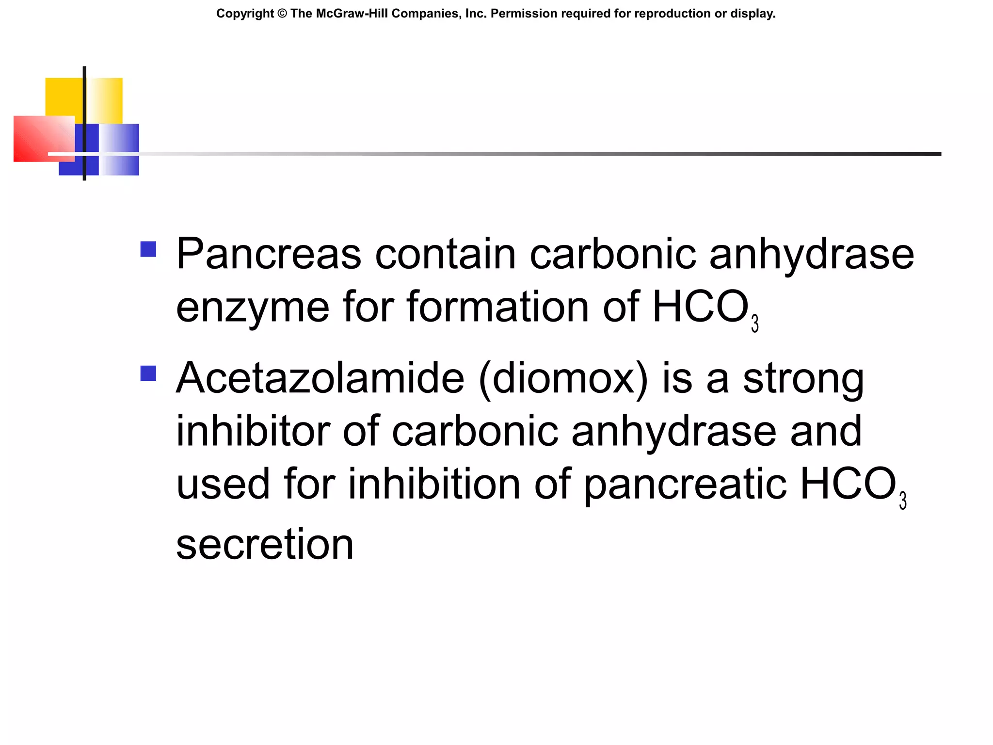 The Exocrine Functions Of The Pancreas | PPT