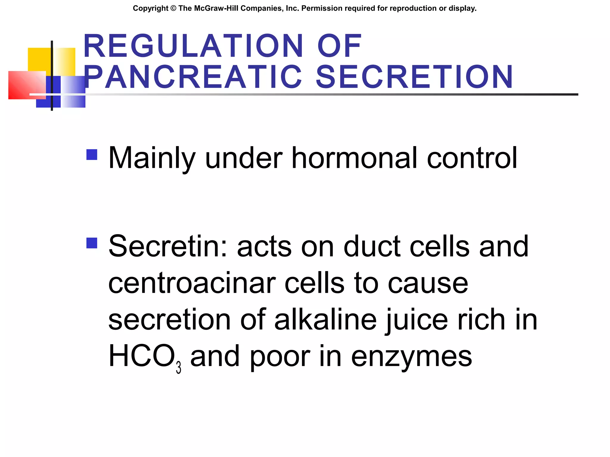 The Exocrine Functions Of The Pancreas | PPT