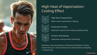 The-Extraordinary-Properties-of-Water.pptx