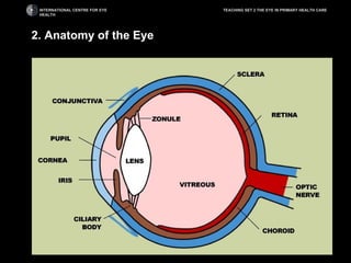 the eye in primary care | PPT