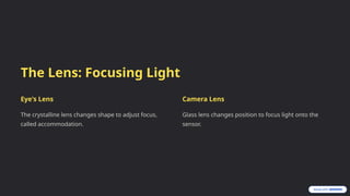 The-Eye-Natures-Camera (1) 4th semester.pptx