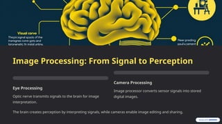 The-Eye-Natures-Camera (1) 4th semester.pptx