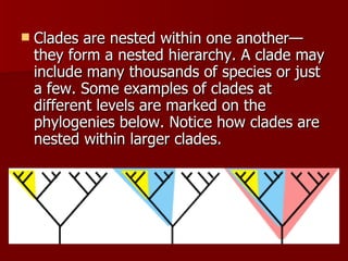 The Family Tree | PPT