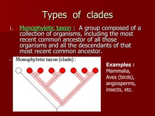The Family Tree | PPT
