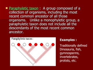 The Family Tree | PPT