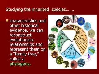 The Family Tree | PPT