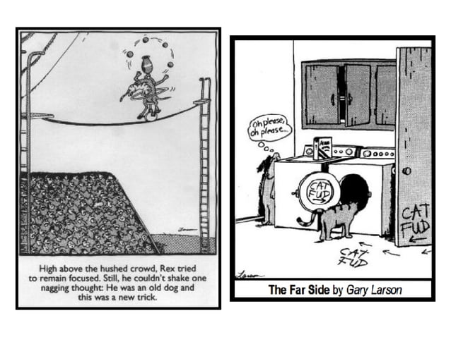 The Far Side | PPT