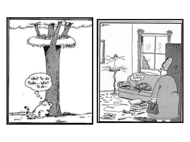 The Far Side | PPT