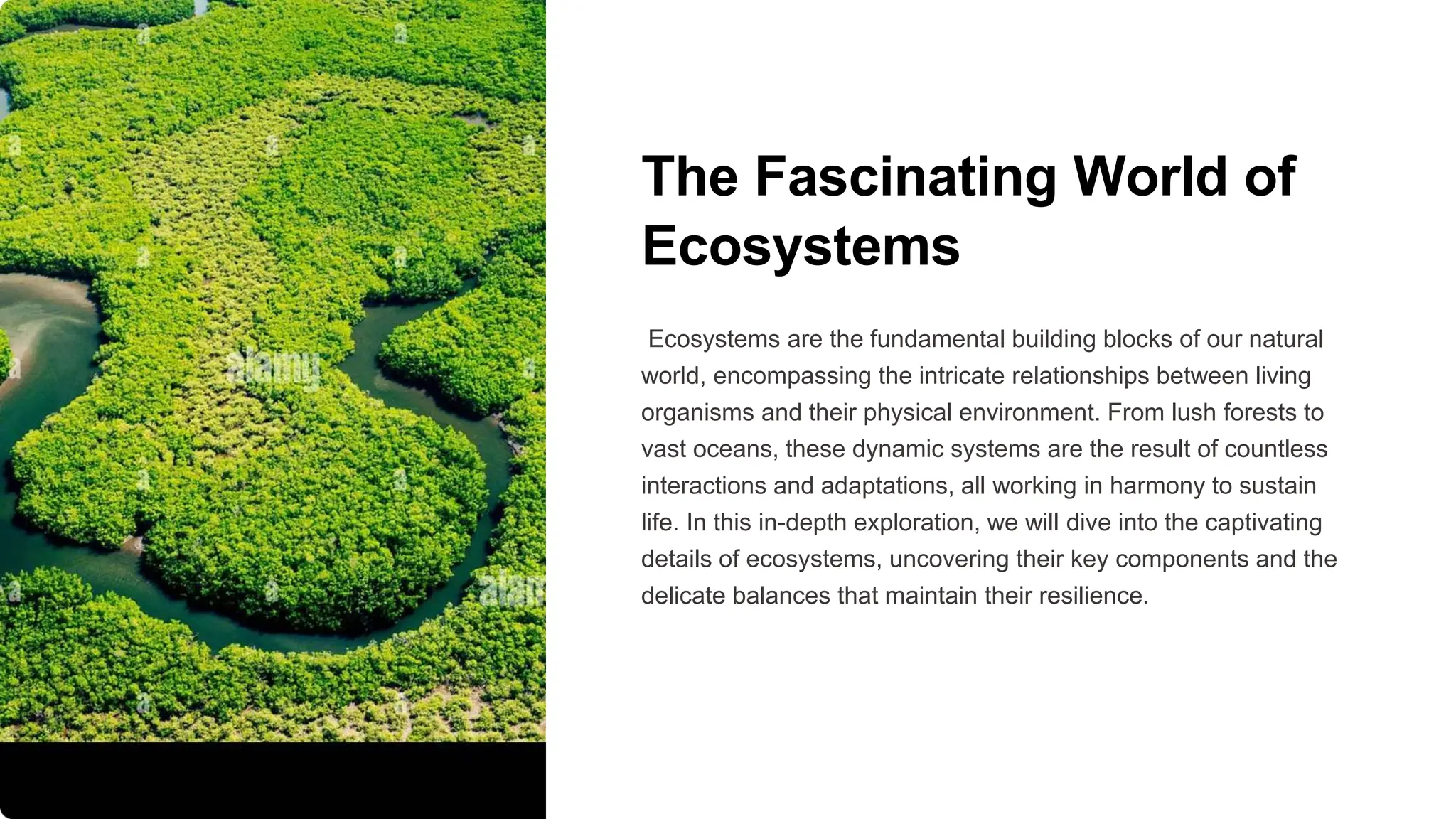 The-Fascinating-World-of-Ecosystems.pptx