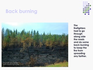 The Fire | PPT