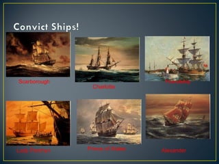The first-fleet | PPT
