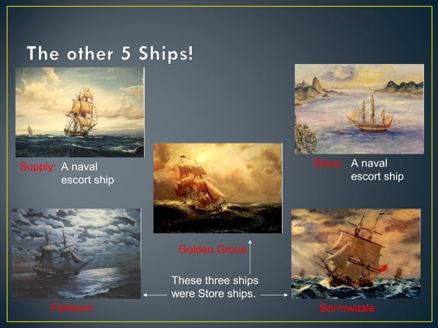 The first-fleet | PPT