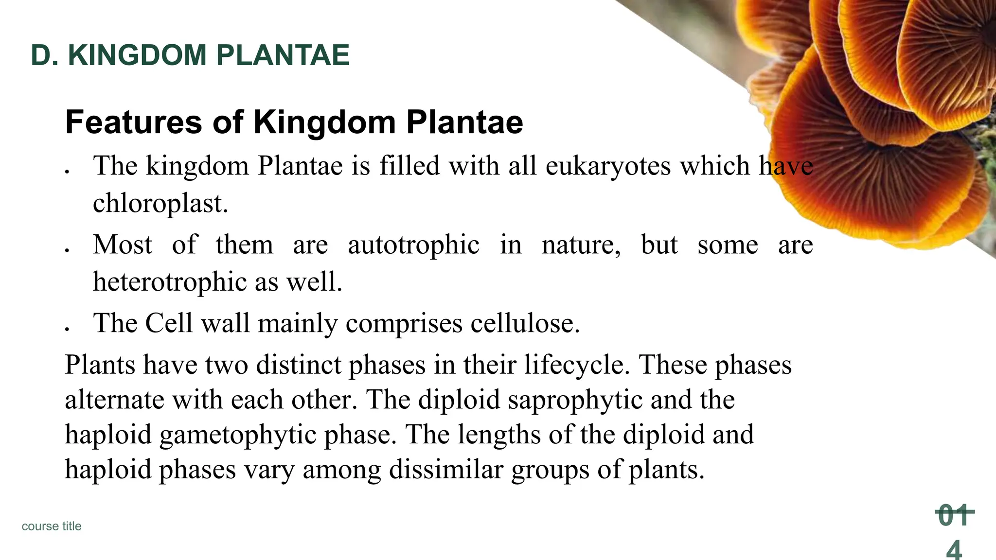 The Five Kingdom of Classifications in Pharmacy | PPTX | Geography | Science