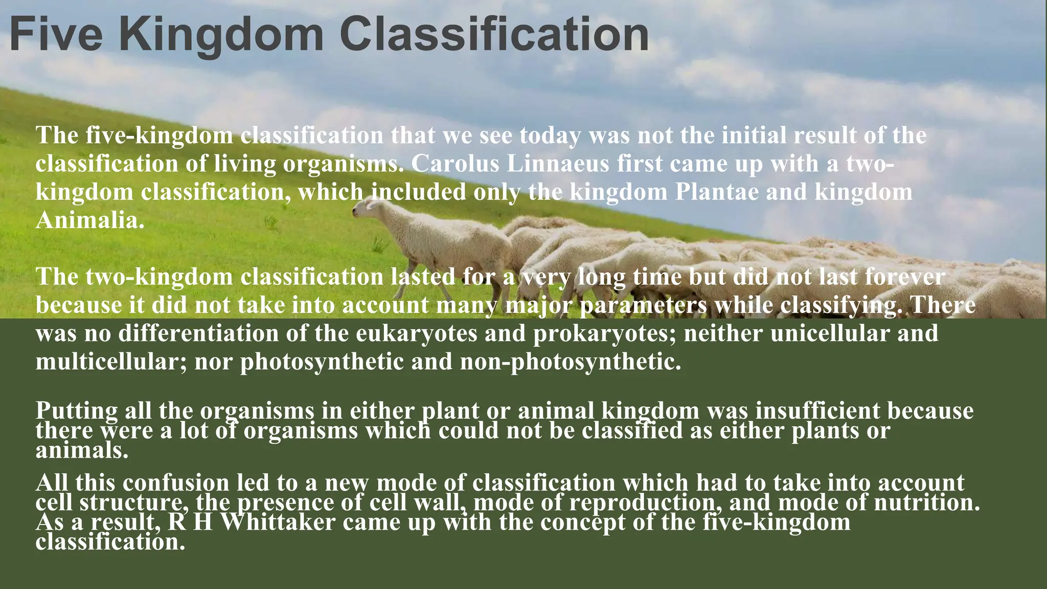 The Five Kingdom of Classifications in Pharmacy | PPTX | Geography | Science